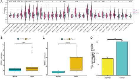 Correlation Between S100a7 And Immune Characteristics Methylation