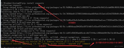 python使用终端对模块进行安装时候报错，安装不了，报错：could not install packages due to an