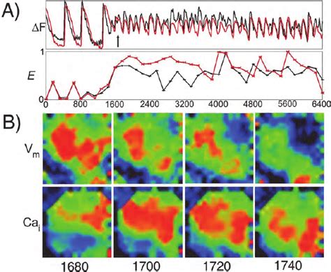 Example Of Spatiotemporal Entropy From A Non Self Terminating Run Of A