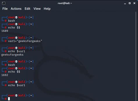 bash script define bash variables and its types geeksforgeeks