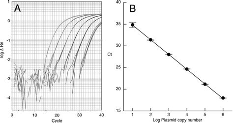 Concentration Dependence Of Ct A Amplification Plots For