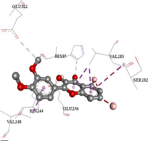 Putative Binding Interactions Of Ligand 10 Against Tyrosinase