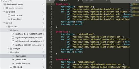 cannot load font face in vue js stack overflow