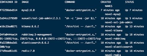 使用 Docker Compose 一键安装 Novel 项目开发环境 Xxyopen