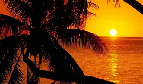 Confira O Que Fazer Na Jamaica Um País A Ser Descoberto Maior Viagem