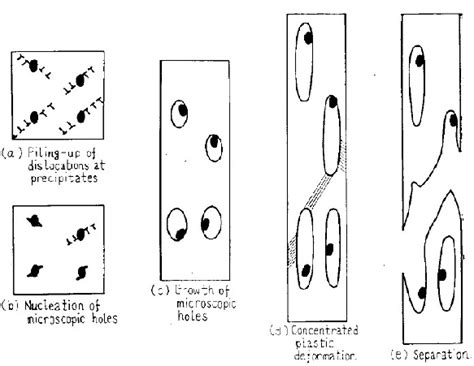 Stages Of Ductile Fracture [100] Download Scientific Diagram