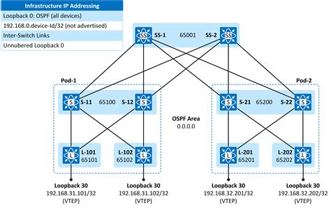 the network times bgp evpn underlay network with ospf