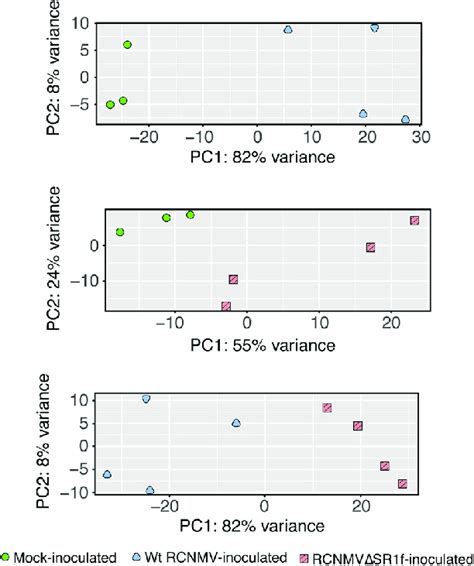 Principal Component Analysis Pca Of Rna Seq Data Regularized