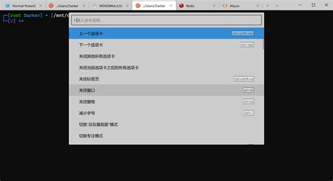 windowsterminal windows terminal 美化 和 自定义配置