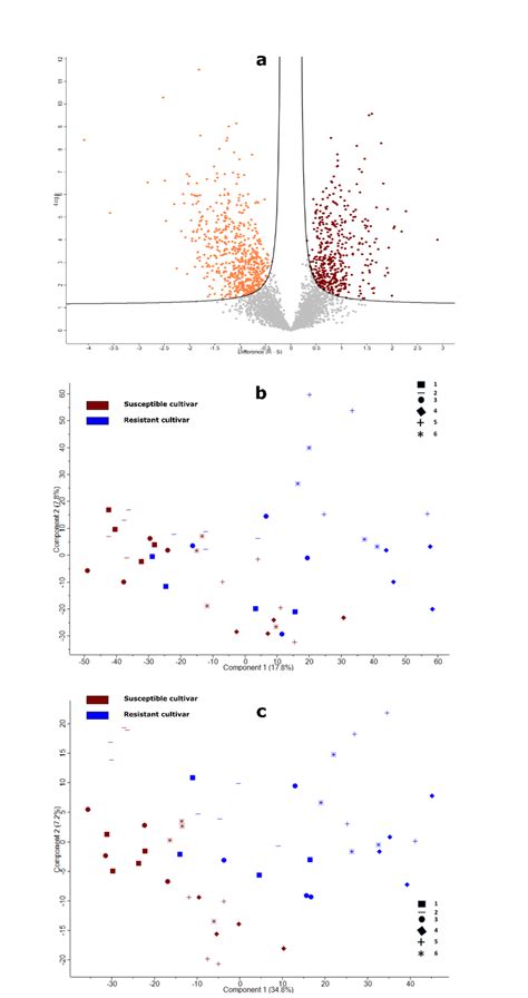 A Volcano Plot Displaying The Results Of T Test Comparisons Of
