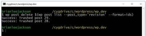 wp cli v2 gerenciando o wordpress a partir do terminal