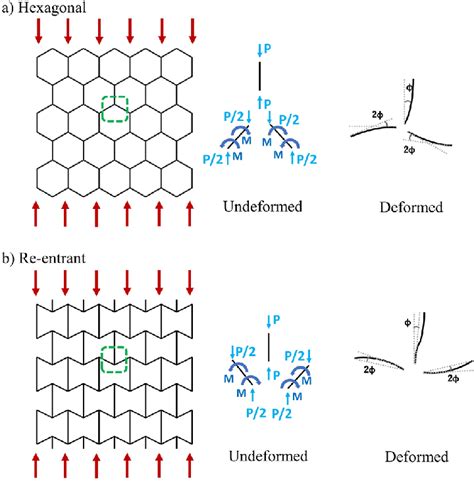 Deformation Of Individual Unit Cells Under Compressive Load A