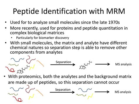 Ppt Protein Quantitation Ii Multiple Reaction Monitoring Powerpoint