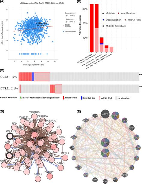 Genetic Alteration Neighbor Gene Network And Interaction Analyses Of