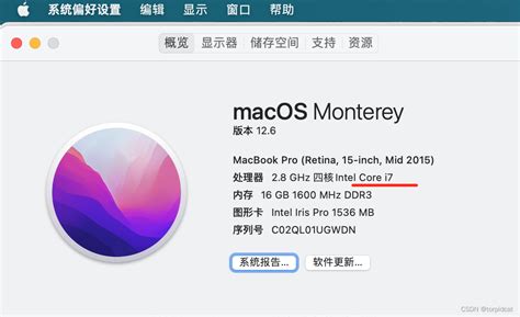 mac 安装mysql8 0 mac mysql8 0安装教程 torpidcat的博客 csdn博客
