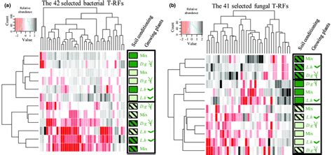 Cluster Of A Bacterial And B Fungal Communities Based On The