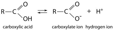 11 13 Carboxylic Acids Chemistry Libretexts