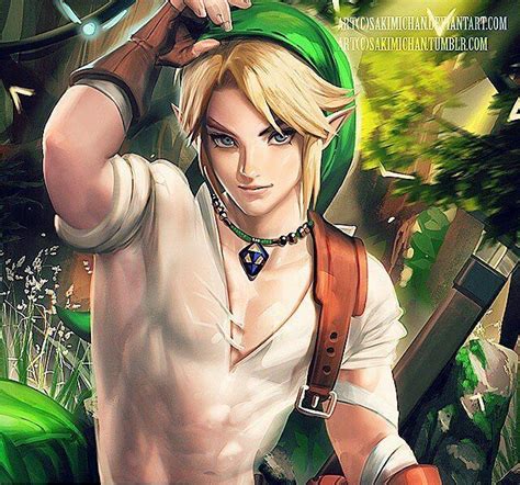 Zelda Link Legend Of Zelda Link Zelda Twilight Princess