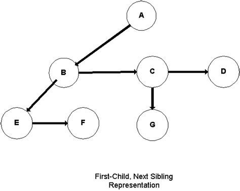 class 14 trees