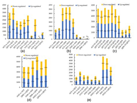 Genes Free Full Text Transcriptomics Analysis Reveals A More