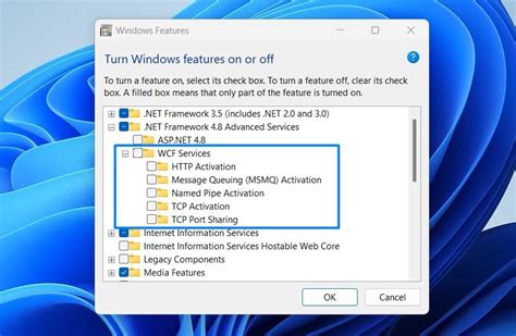 Enable Net 4 8 Advanced Services In Windows 11 Dev Community
