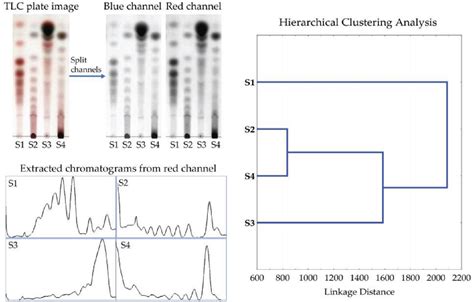 Figure 3 From Chemometrics Based Tlc And Gc Ms For Small Molecule
