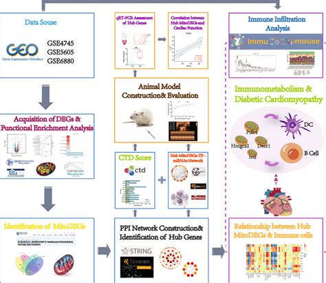 Flowchart Of The Multistep Screening Strategy On Bioinformatics Data