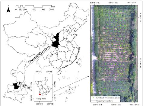 Figure 1 From Combining Spectral And Textural Information From Uav Rgb