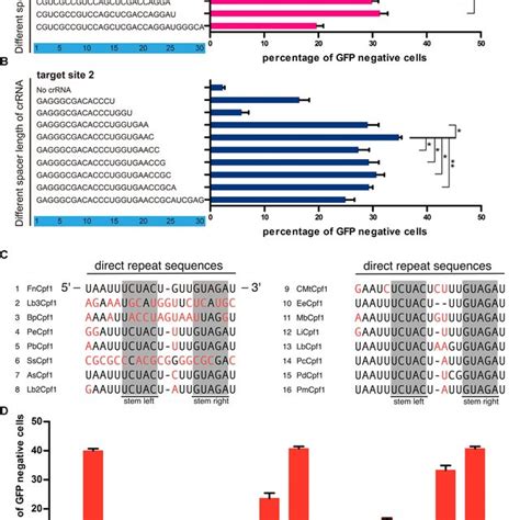 On Target Gene Editing Activities Of Crrna With Different Length Of