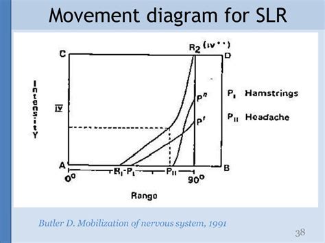 Neurodynamics Mobilization Of Nervous System Neural Mobilization