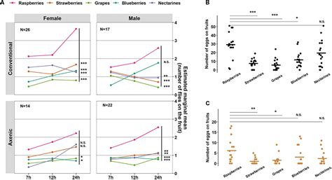 Frontiers Sex Dependent Effects Of The Microbiome On Foraging And