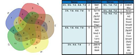 Venn Diagram Of Significantly Differentially Expressed Transcription