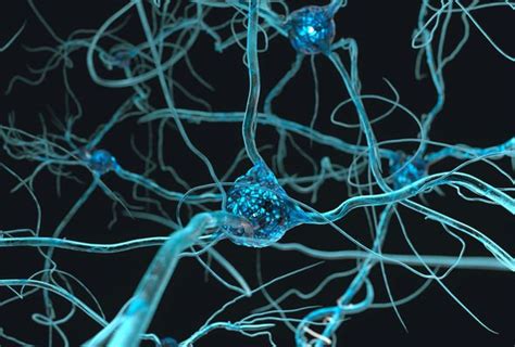 artificial neurons developed in world first breakthrough for curing