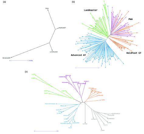 Nj Dendrograms For Phalaris And Lentil Calculated Using Neis Pairwise