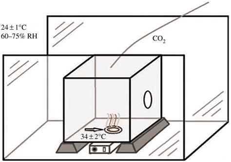 Schematic Of The Repellent Bioassay Showing The Flight Chamber
