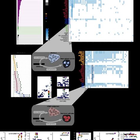 Colocalization Of Trans Eqtls With Gwas Loci Of 42 Complex Traits With