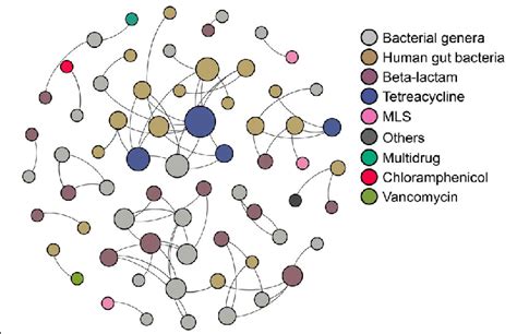 Co Occurrence Network Analysis Showing The Correlation Between