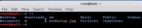 top basic linux commands for beginners