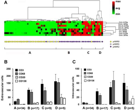 Unsupervised Clustering Analysis A Identification Of Four Clusters