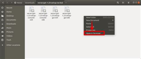 how to encrypt linux partitions with veracrypt on ubuntu