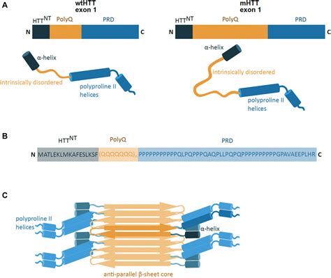 Frontiers Molecular Strategies To Target Protein Aggregation In
