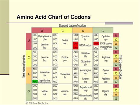 Ppt Chapter 12 Dna The Molecule Of Heredity Powerpoint Presentation