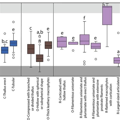 Variability In δ 13 C Values For Morphofunctional Groups By Taxa Along