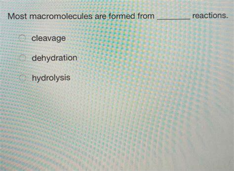 Solved Which Of The Following Statements Is True Of Enzymes
