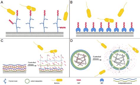 Schematic Representation Of Four Strategies To Deliver Antimicrobial