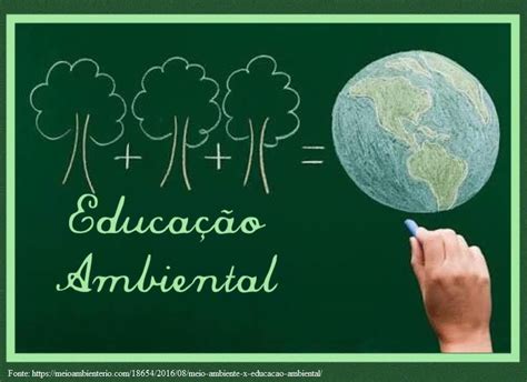 Educação Ambiental O Caminho Para A Conscientização