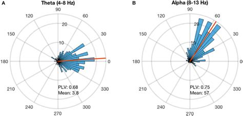 Frontiers A Real Time Phase Locking System For Non Invasive Brain