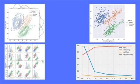 be your data analyst and visualization expert using python by