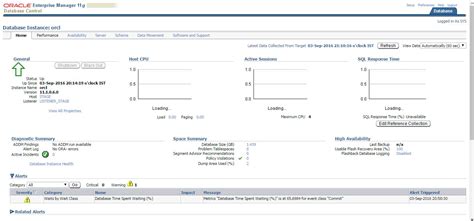 oracle11g how to login oracle 11g on browser stack
