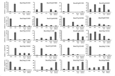 Verification Of Differentially Expressed Genes By Qrt Pcr Twenty